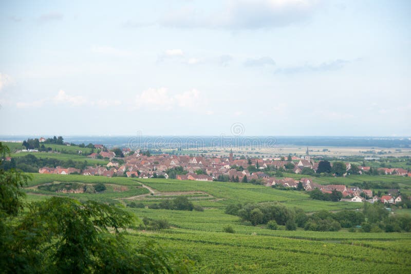 Alsace Landscape and Vinewyard Stock Image - Image of tourism, vacation ...