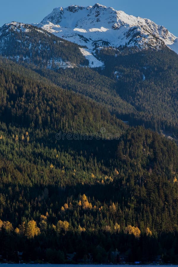Alta Lake Whistler stock image. Image of relaxation, mountains - 81699923