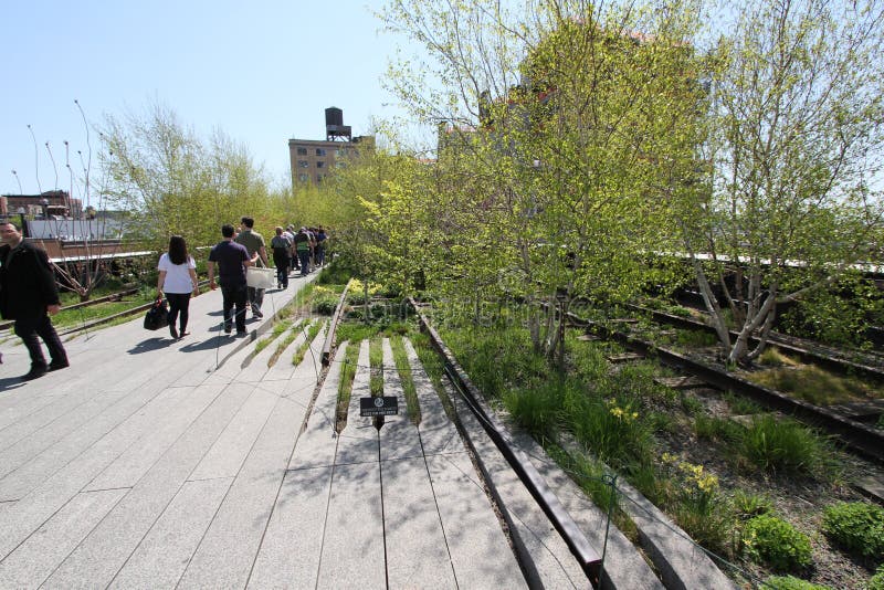 Alta linea NYC fotografia stock editoriale. Immagine di verde - 31374533