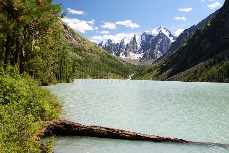 Altai lake stock photo. Image of forest, wood, altai, russia - 6917846