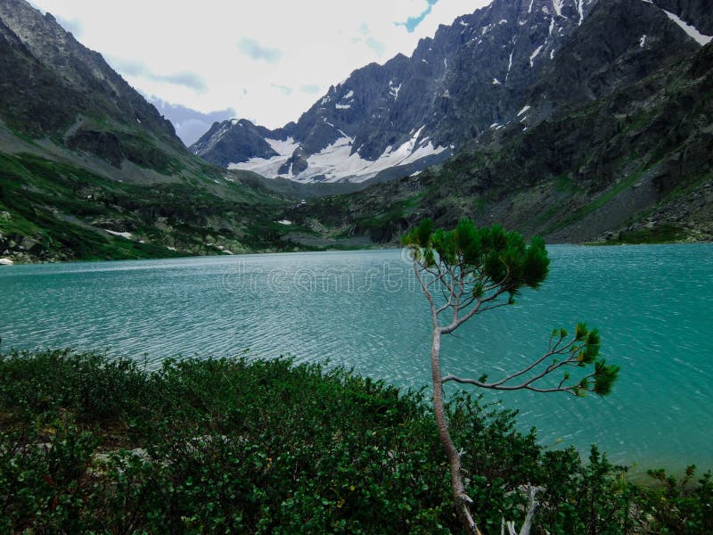 Altai Lake stock photo. Image of clouds, sibir, tree - 100624620