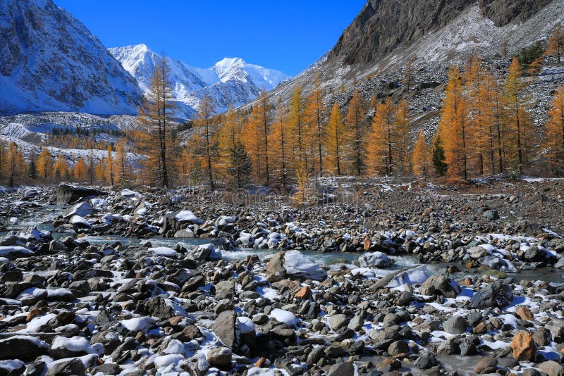 Altai Mountains stock image. Image of reserve, altay - 27139677