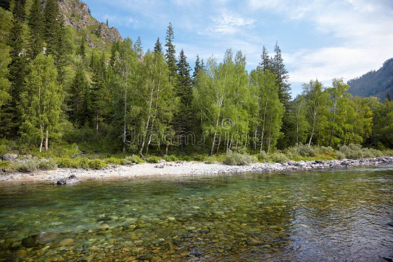Altai river Kumir stock photo. Image of pool, forest - 33828146