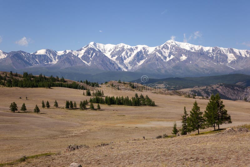 Altai Snow Mountain and Steppe Forest Stock Image - Image of altai ...