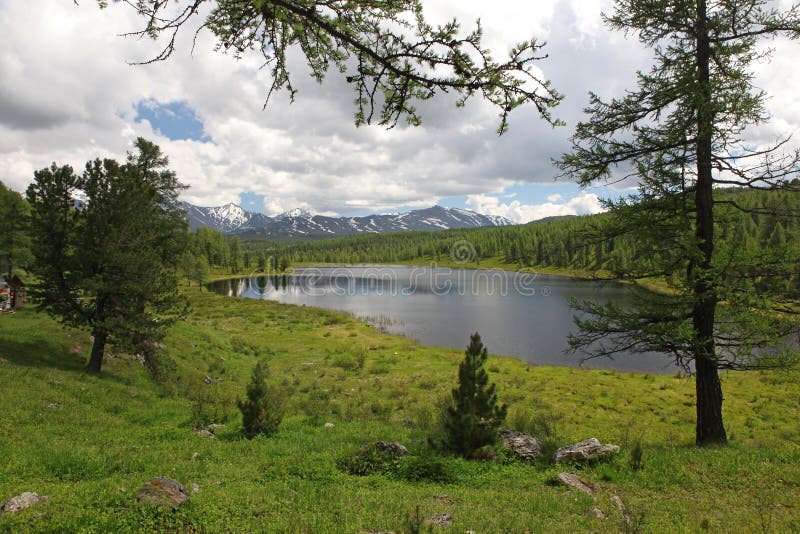 Altai State Natural Biospheric Reserve, Russia. Stock Image - Image of ...