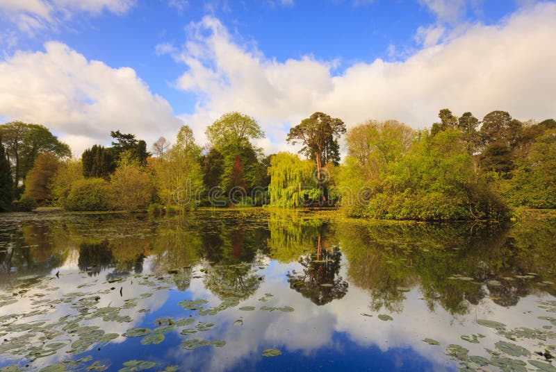 Altamont Garden stock image. Image of green, irish, altamont - 65031141