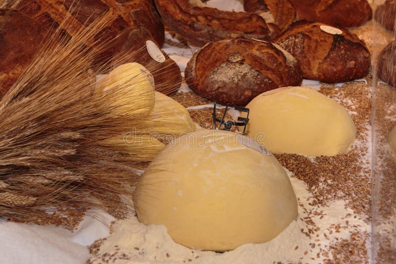 Altamura Italian Fresh Bread Stock Photo - Image of italy, delicious ...