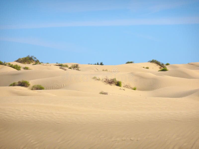 Altar desert stock photo. Image of sonora, northern - 124863550