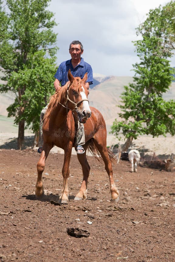Altay man on a horse stock photo. Image of east, nature - 15255902