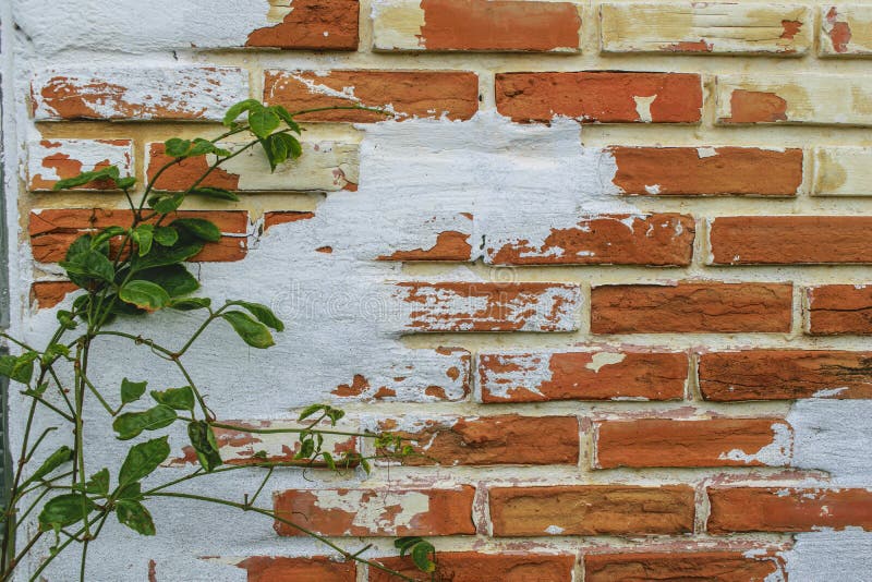 Alte Backsteinmauer stockbild. Bild von klumpen, laib - 79652829