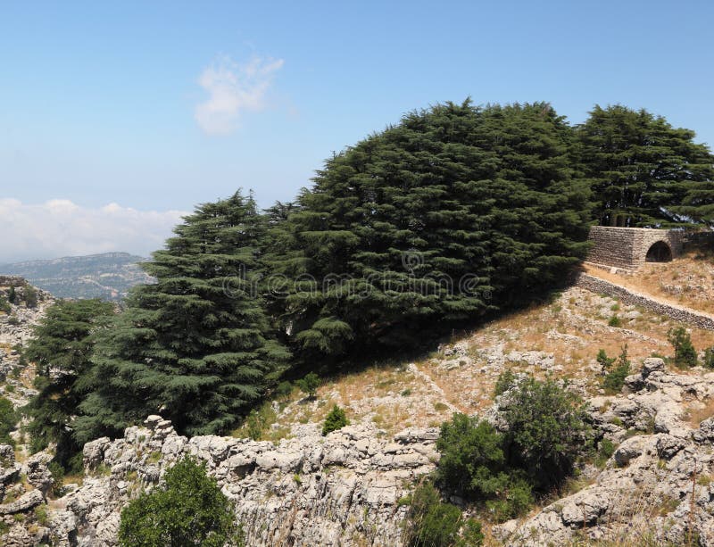 Alte Kirche in Der Zeder-Waldung, Der Libanon Stockbild - Bild von ...