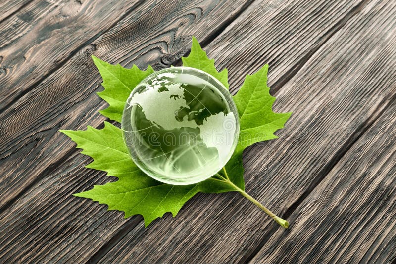 Alternative energy stock photo. Image of tree, nature - 111572476