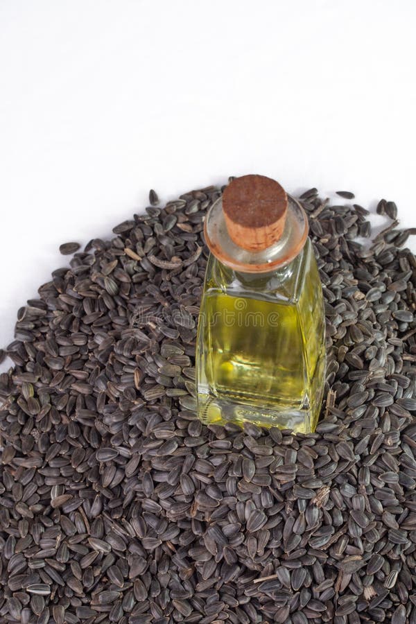 Alternative fuel stock photo. Image of environmental - 25893676