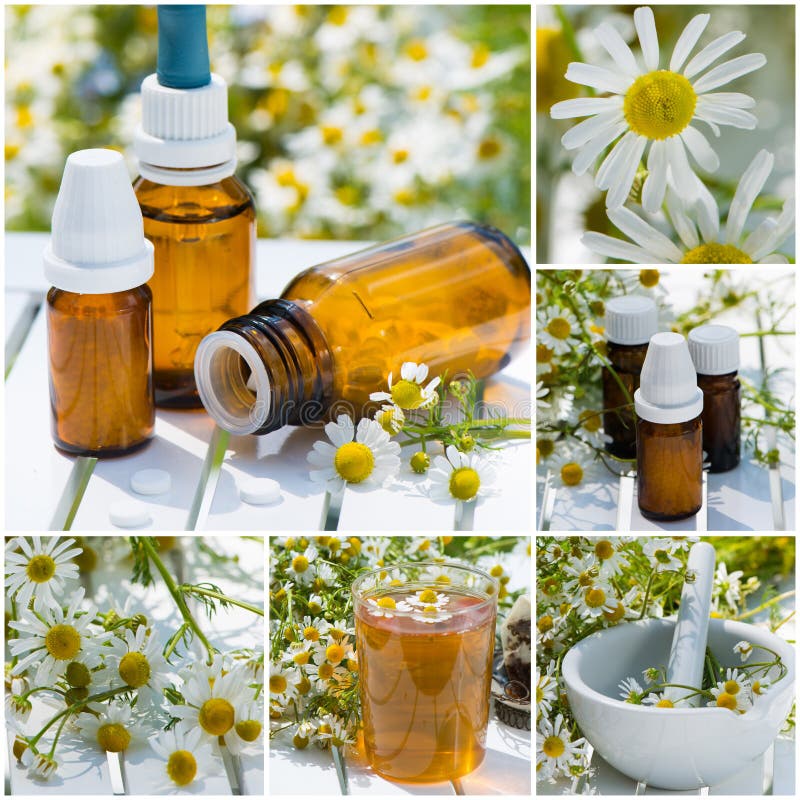 Alternative Medicine Collage Stock Image - Image of green, alternative ...