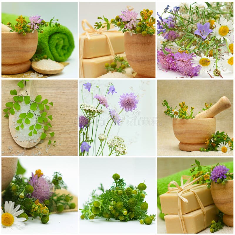 Alternative Medicine and Herbal Treatment Stock Image - Image of body ...