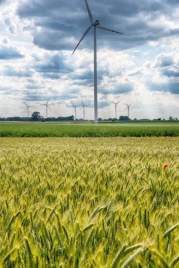 An Alternative Type of Electrical Generation Using a Wind Power ...