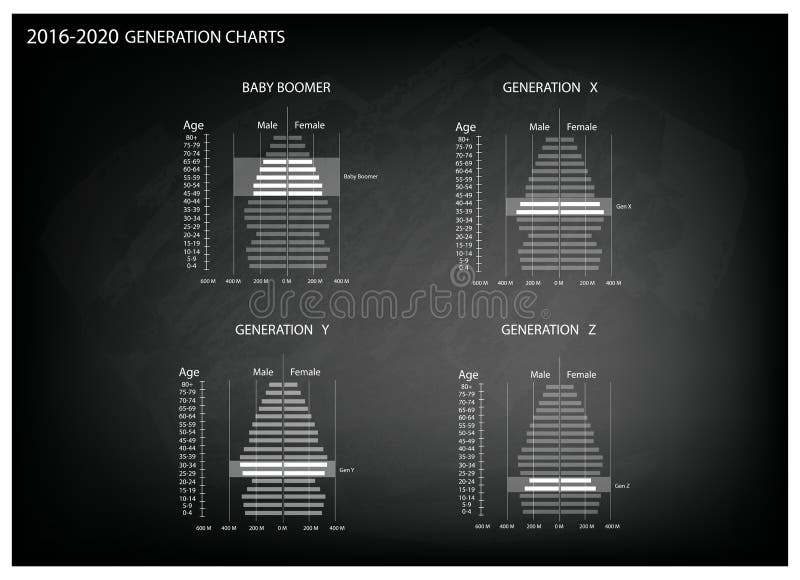 Alterspyramide-Diagramme 2016-2020 Mit Generation 4 Vektor Abbildung ...
