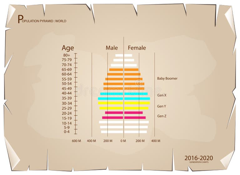 Alterspyramide-Diagramme 2016-2020 Mit Generation 4 Vektor Abbildung ...