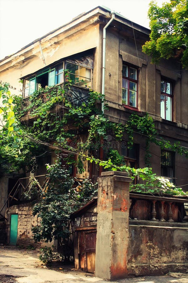 Altes Backsteinhaus Twined Durch Eine Rebe Stockbild - Bild von leute ...