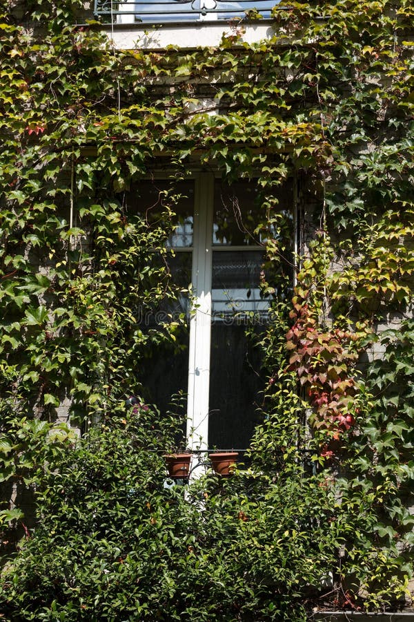 Altes Haus Bedeckt Durch Efeu in Montmartre Stockbild - Bild von ...