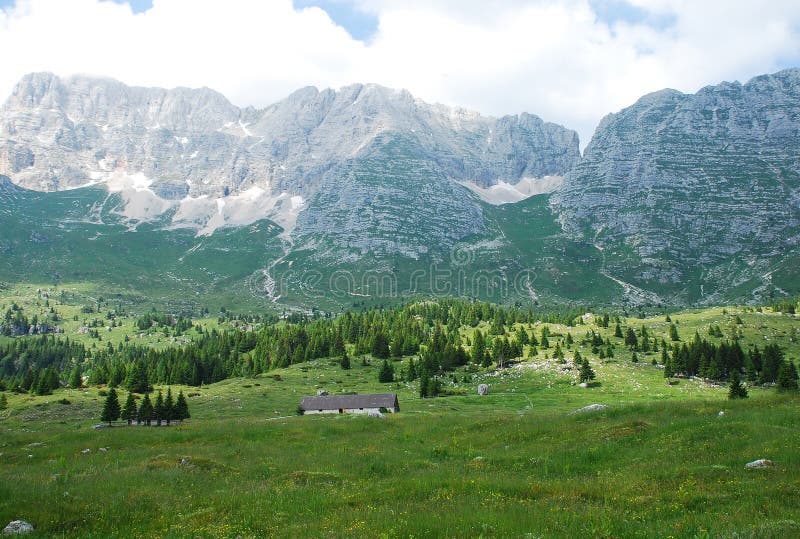 Altiplano de Montasio stockbild. Bild von immergrün, wälder - 60500869