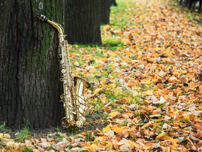 Alto Saxophone in Autumn Park Stock Image - Image of leaves ...