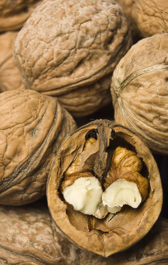 Alto vicino del gheriglio fotografia stock. Immagine di nocciolo - 12685360