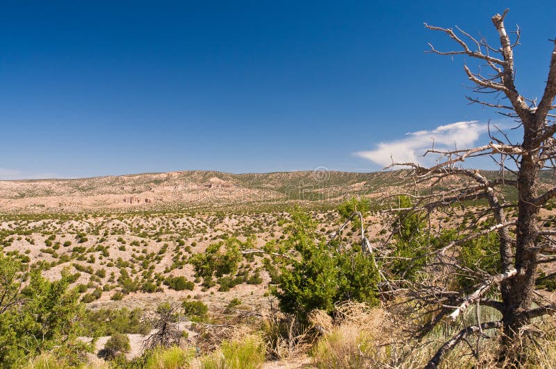 1,554,455 Yermo Fotos - Libres de Derechos y Gratuitas de Dreamstime