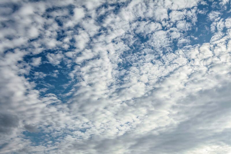 Sky Filled with Dense Altocumulus Clouds Creating a Textured Pattern ...