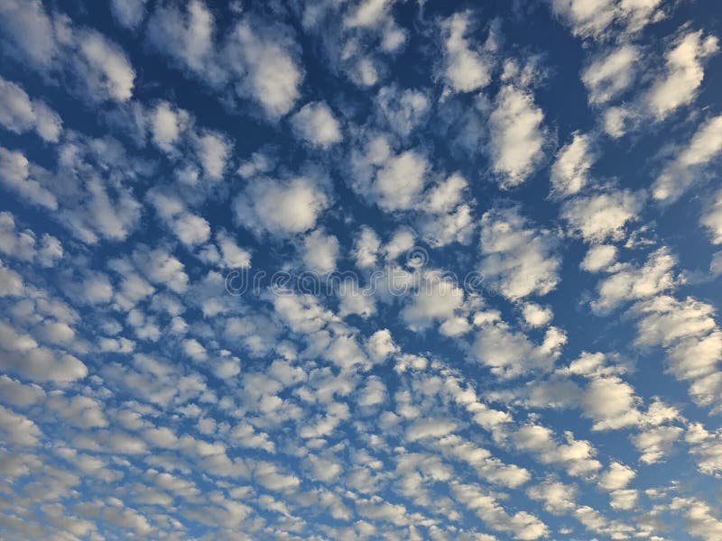 Laurat55 - Photographer profile