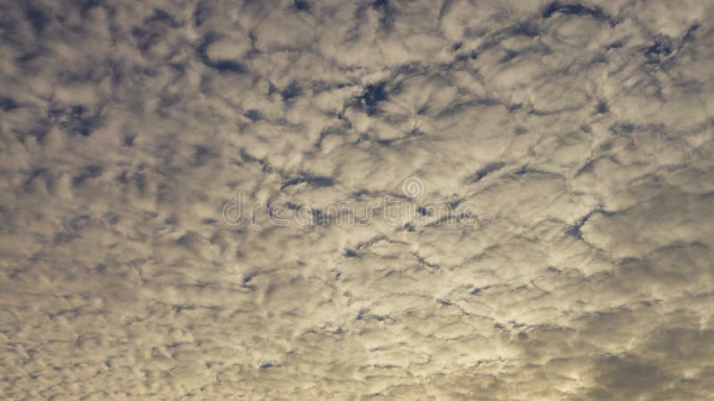 Altocumulus Clouds on the Sunset Sky Stock Footage - Video of dense ...