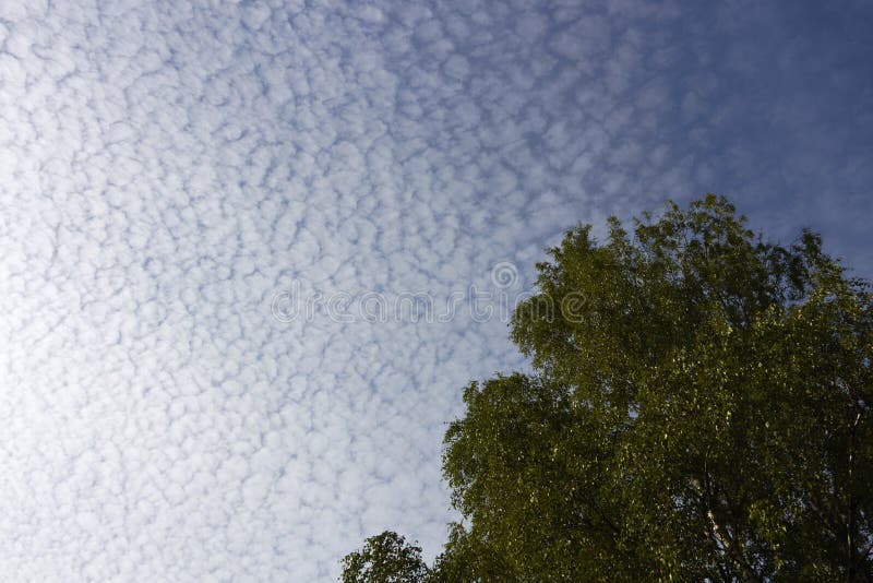 Altocumulus Floccus Virga Clouds Stock Photo - Image of cloudscape ...
