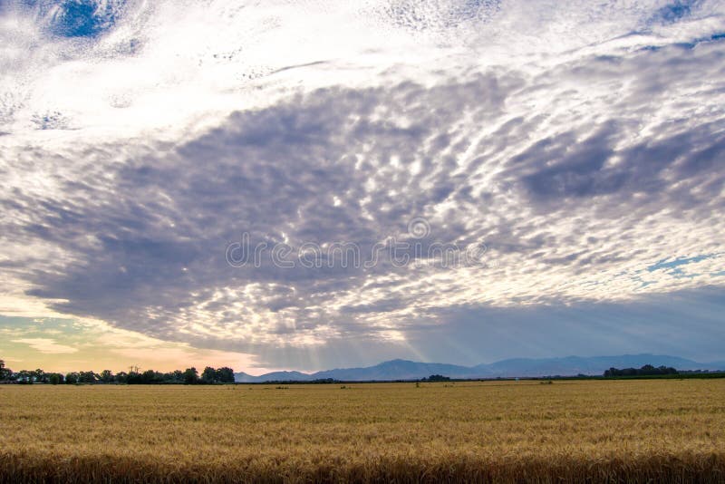 16,137 Clouds Over Farm Field Stock Photos - Free & Royalty-Free Stock ...