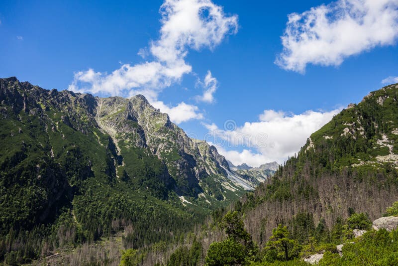 Altos tatras imagen de archivo. Imagen de cielo, bosque - 75965197