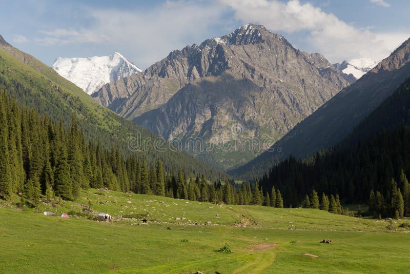 Altyn Arashan Valley, Kyrgyzstan Stock Photo - Image of central ...