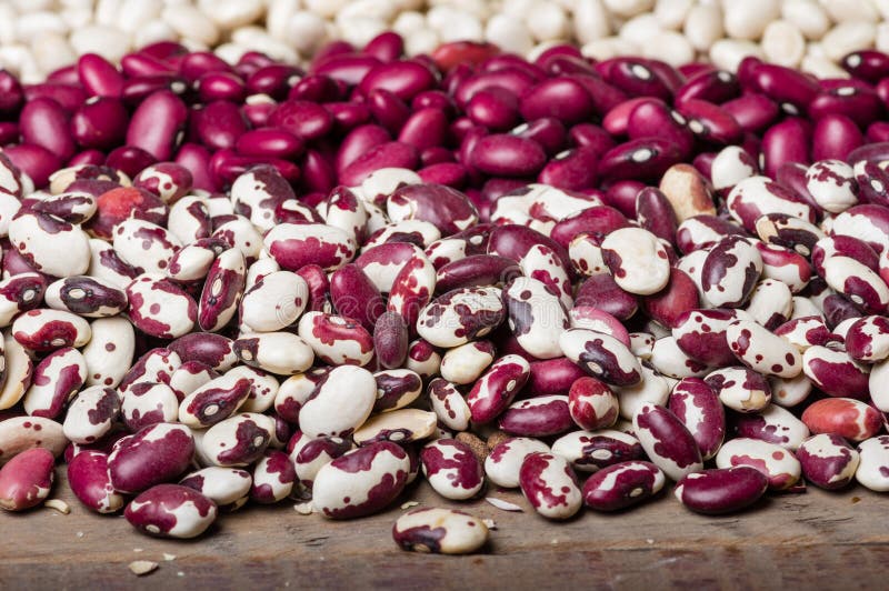 Alubias Secas En Varios Colores Imagen de archivo - Imagen de legumbres ...