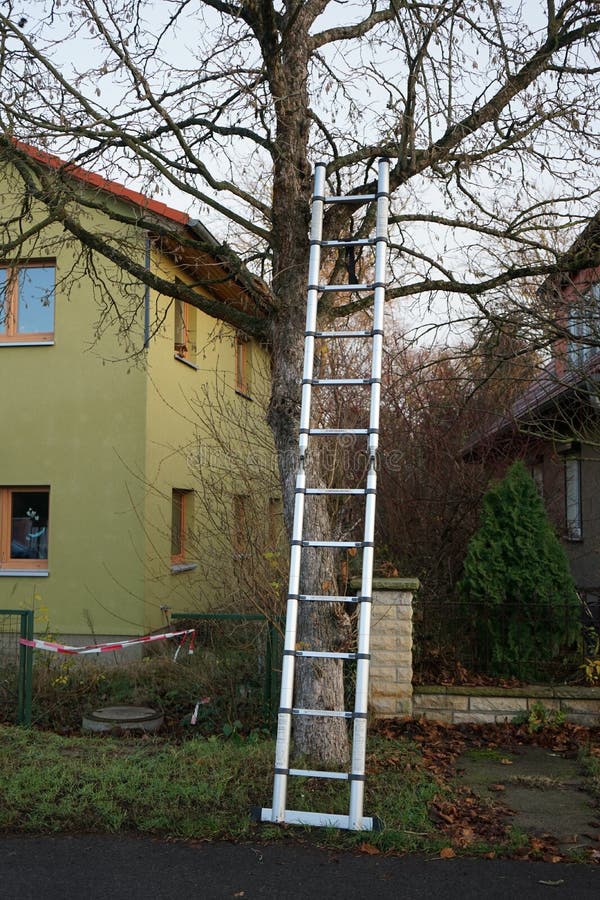 848 Folding Ladder Stock Photos - Free & Royalty-Free Stock Photos from ...