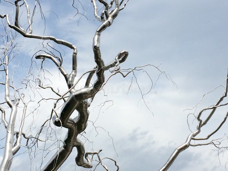 Aluminum metal tree stock image. Image of aluminum, closeup - 180376831