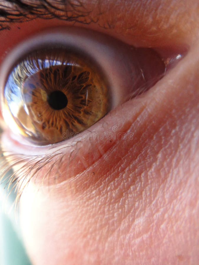 Ojo con el alumno dilatado imagen de archivo. Imagen de encanto - 96777799