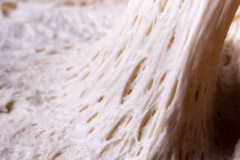 Alveolus gluten matrix stock photo. Image of rising - 136028060