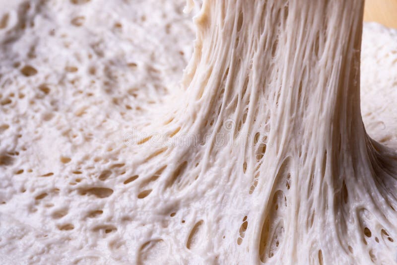 Alveolus gluten matrix stock image. Image of matrix - 136028063