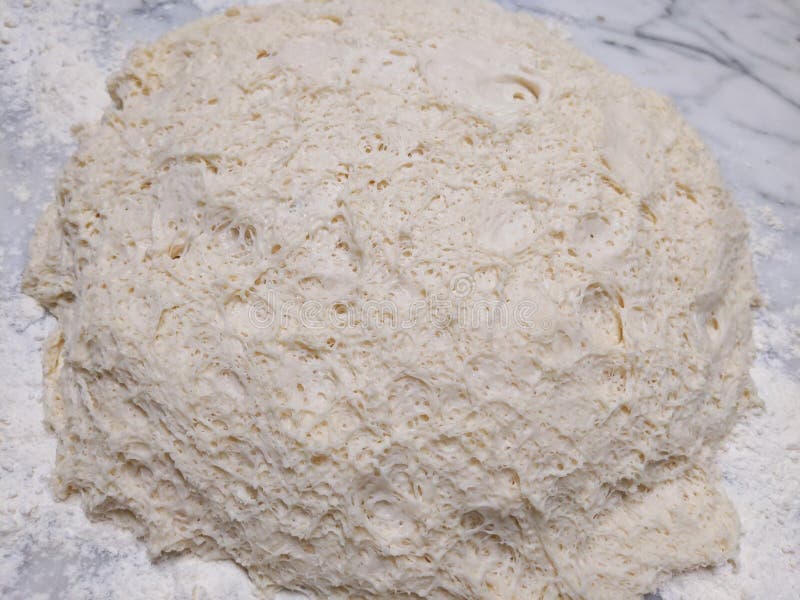 Fermentation on Bread Dough Stock Image - Image of baker, dough: 166308075