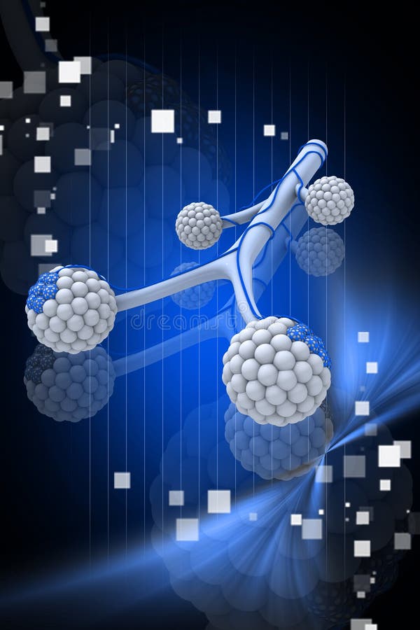 Alvéolos stock de ilustración. Ilustración de color, alvéolos - 22255296