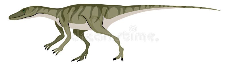 Alwalkeria, Illustration, Vector Stock Vector - Illustration of cartoon ...