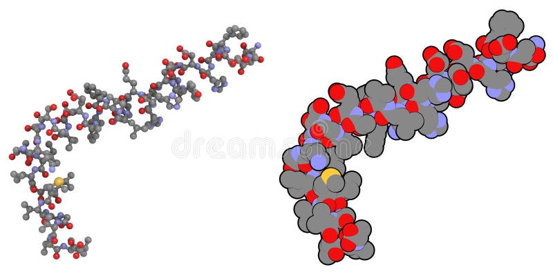 Alzheimer S Disease Amyloid Beta Peptide (1-42) Stock Illustration ...