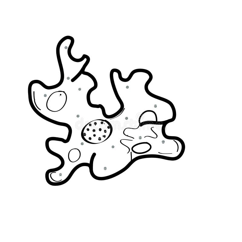Amoebas Coloring Pages