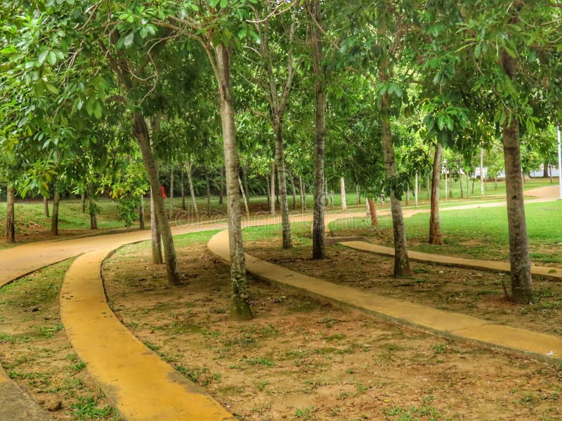 Amaizing Panoramic View of Beautiful Walking Path at the Park Stock ...