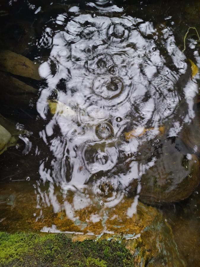 The amaizing raindrops. stock photo. Image of nature - 262142472