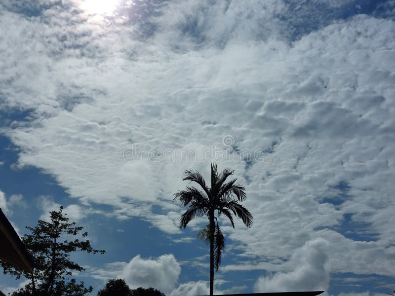 Amaizing View of Sun Shining through the Park in Anjung Floria Presint ...