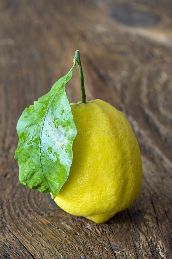 1,378 Amalfi Lemon Stock Photos - Free & Royalty-Free Stock Photos from ...